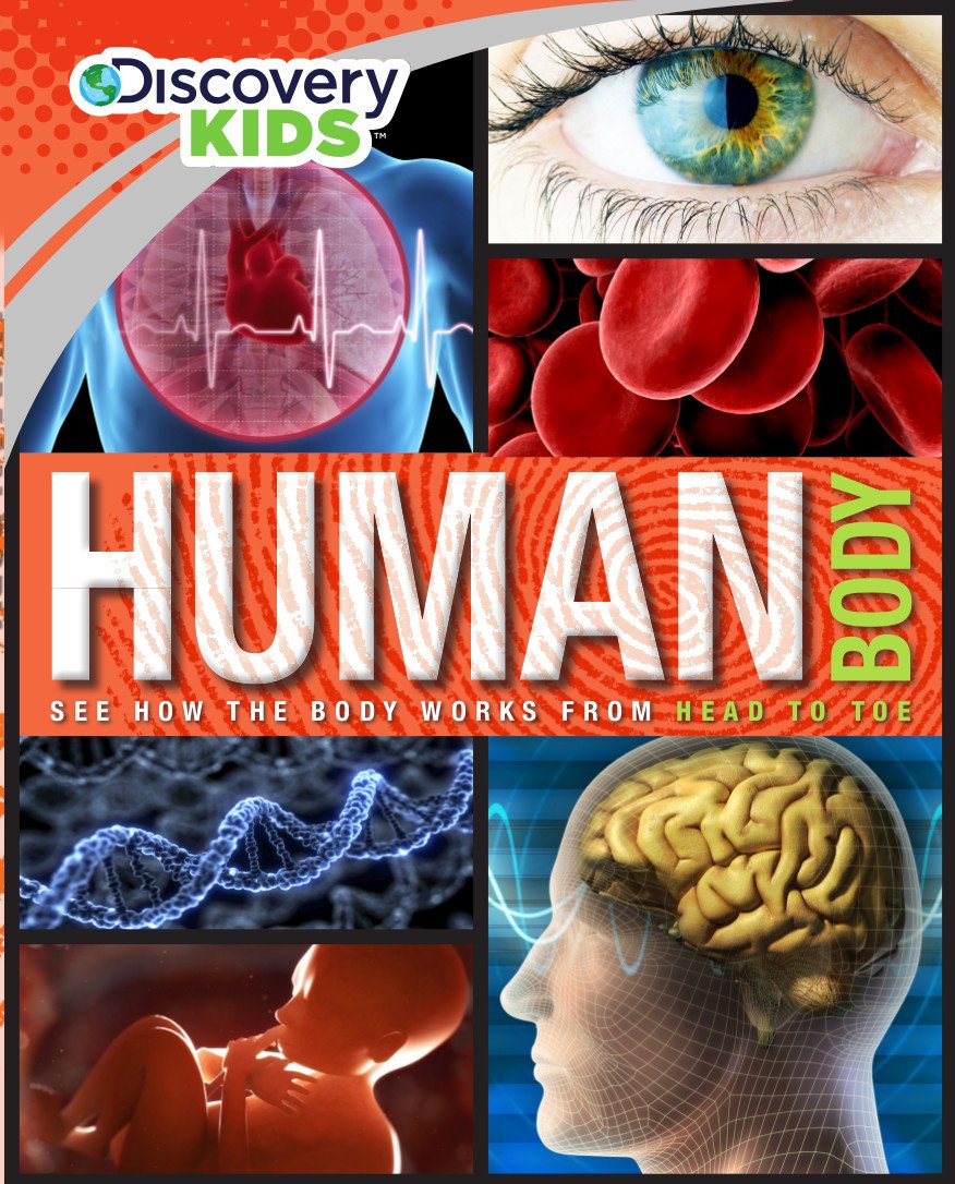Human Body See How the Body Works From Head to toe : প্যারাগন (সম্পাদক ...