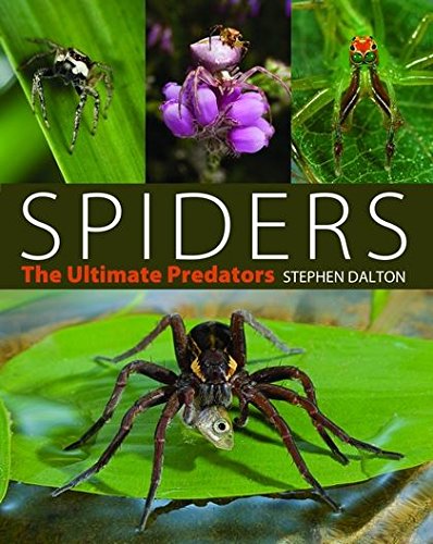 Spiders: The Ultimate Predators : স্টিফেন ডাল্টন - Spiders: The ...