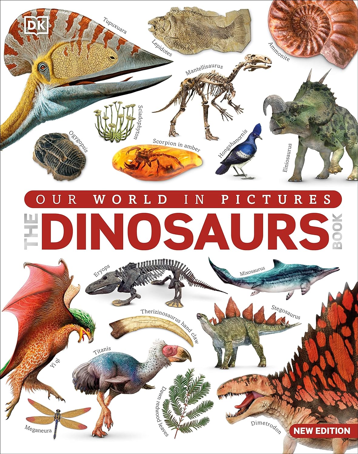 Our World in Pictures The Dinosaur Book : জন উডওয়ার্ড - Our World in ...
