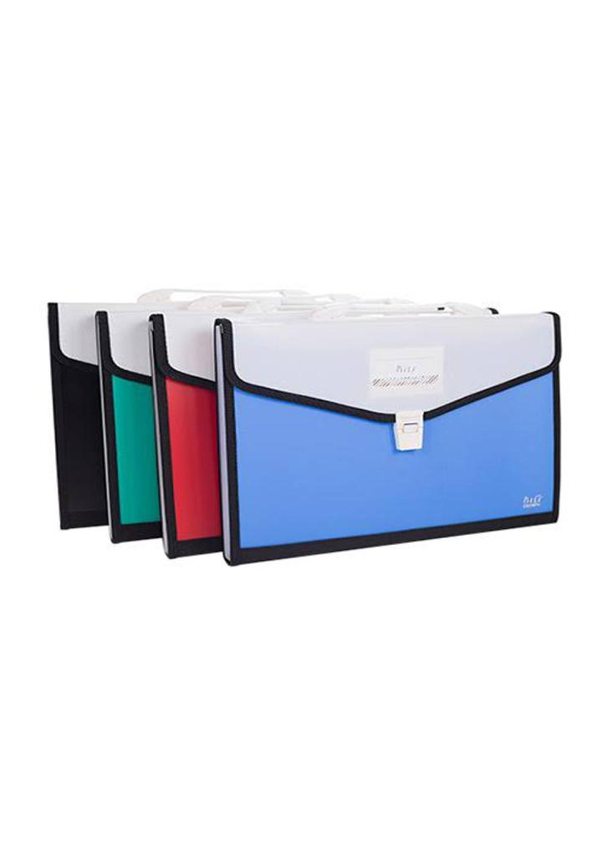 Bili 12 Pocket File C6021FH - 1PC - undefined