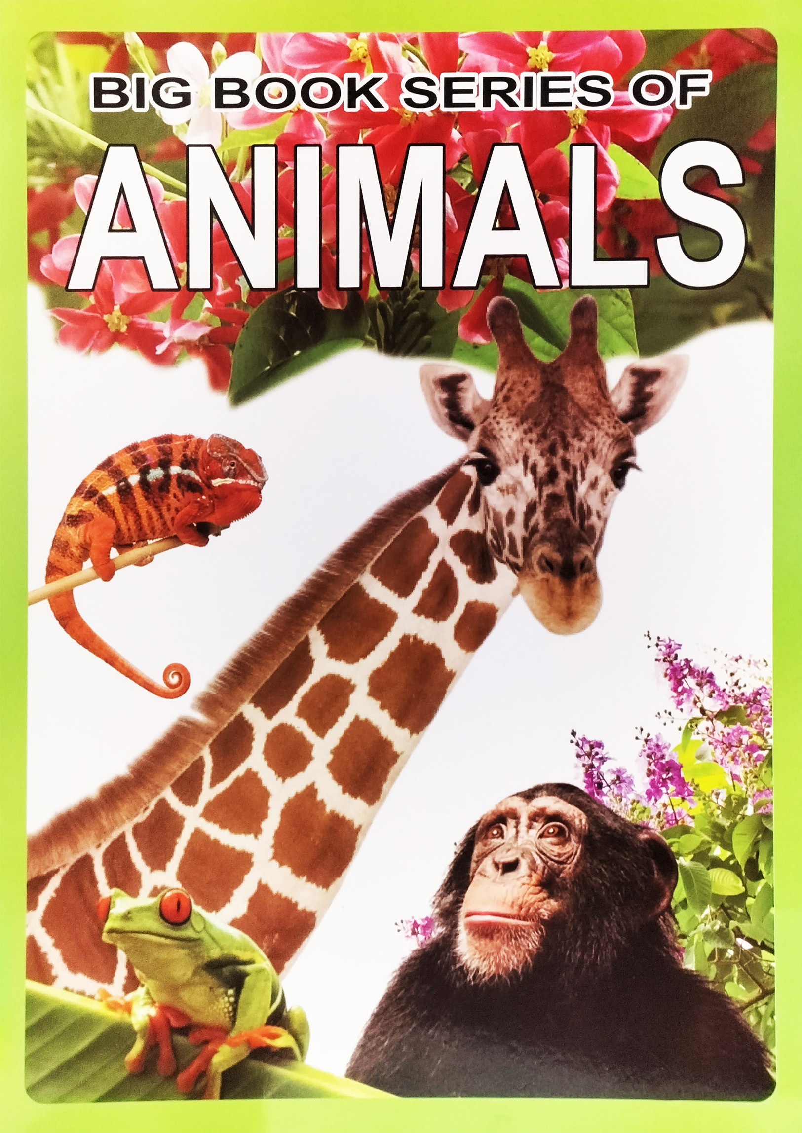 Big Book Series Of Animals -এর প্রাণী ও উদ্ভিদজগৎ বই | Big Book Series ...